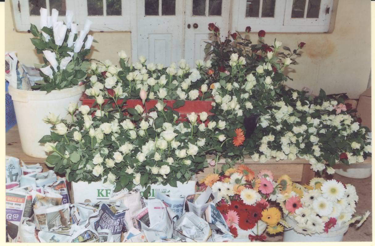 MALSHA ROSES | Uva Products