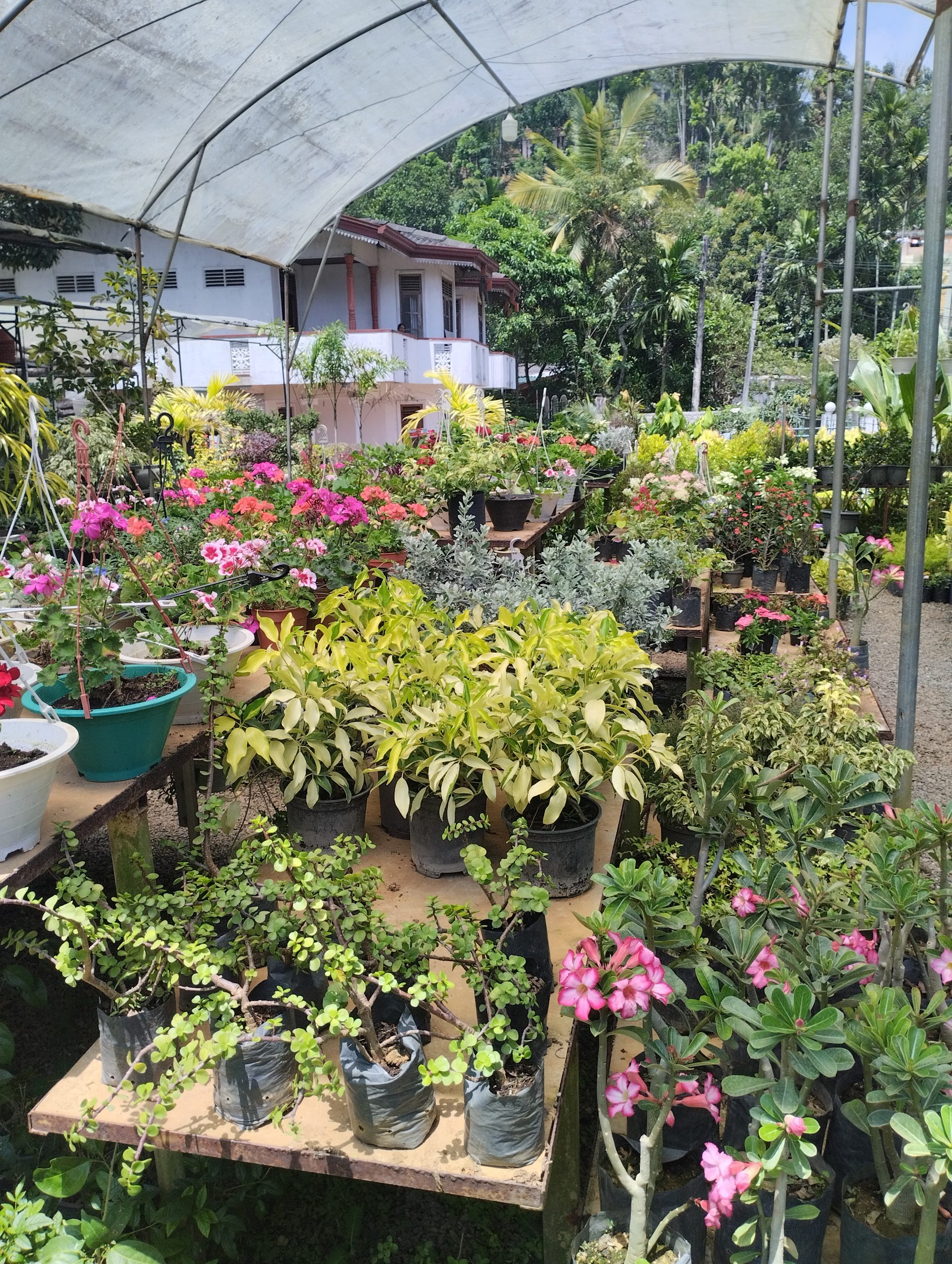 Vindiv Flower House | Uva Products
