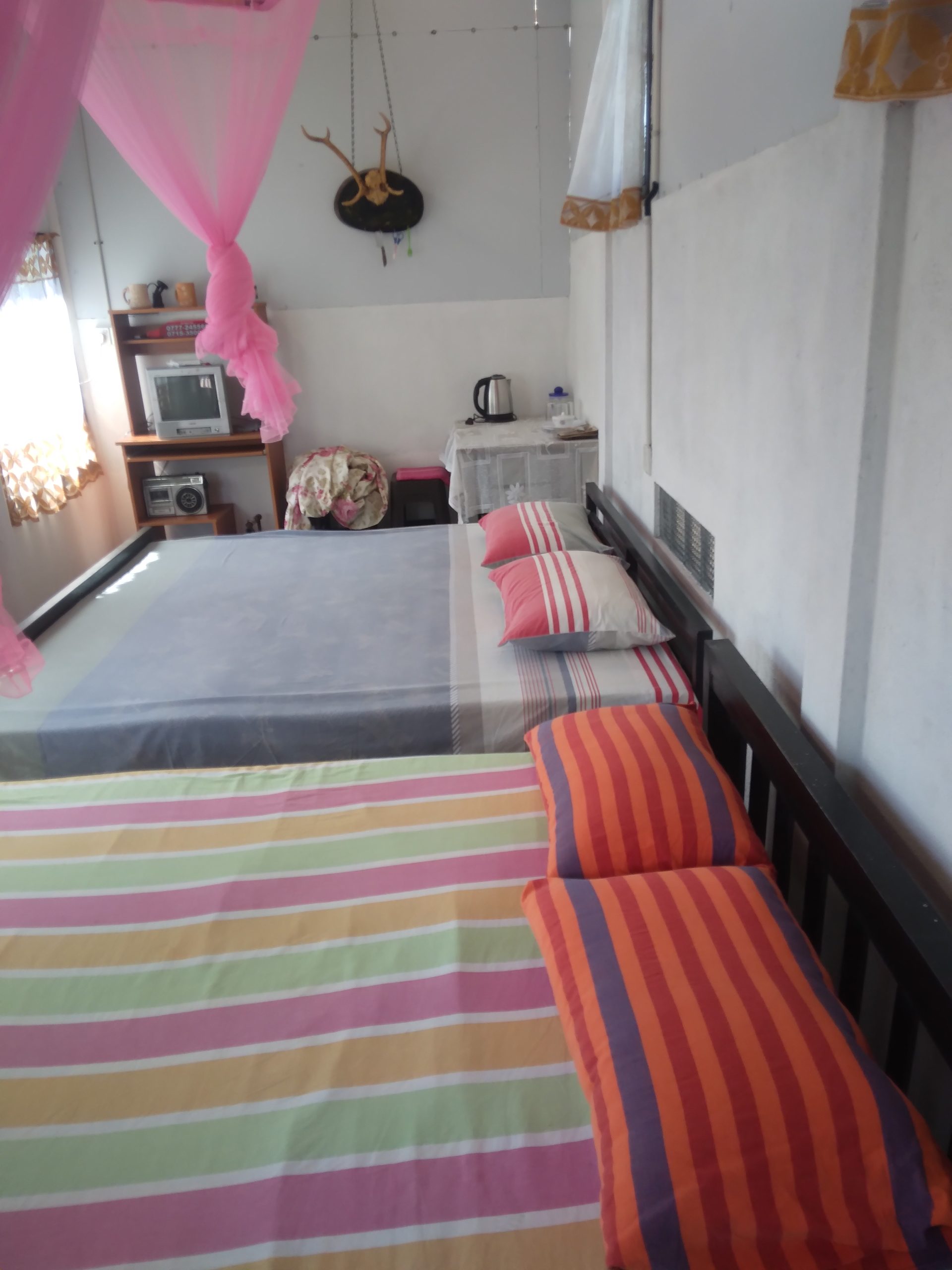 Wethmi safari | Uva Products