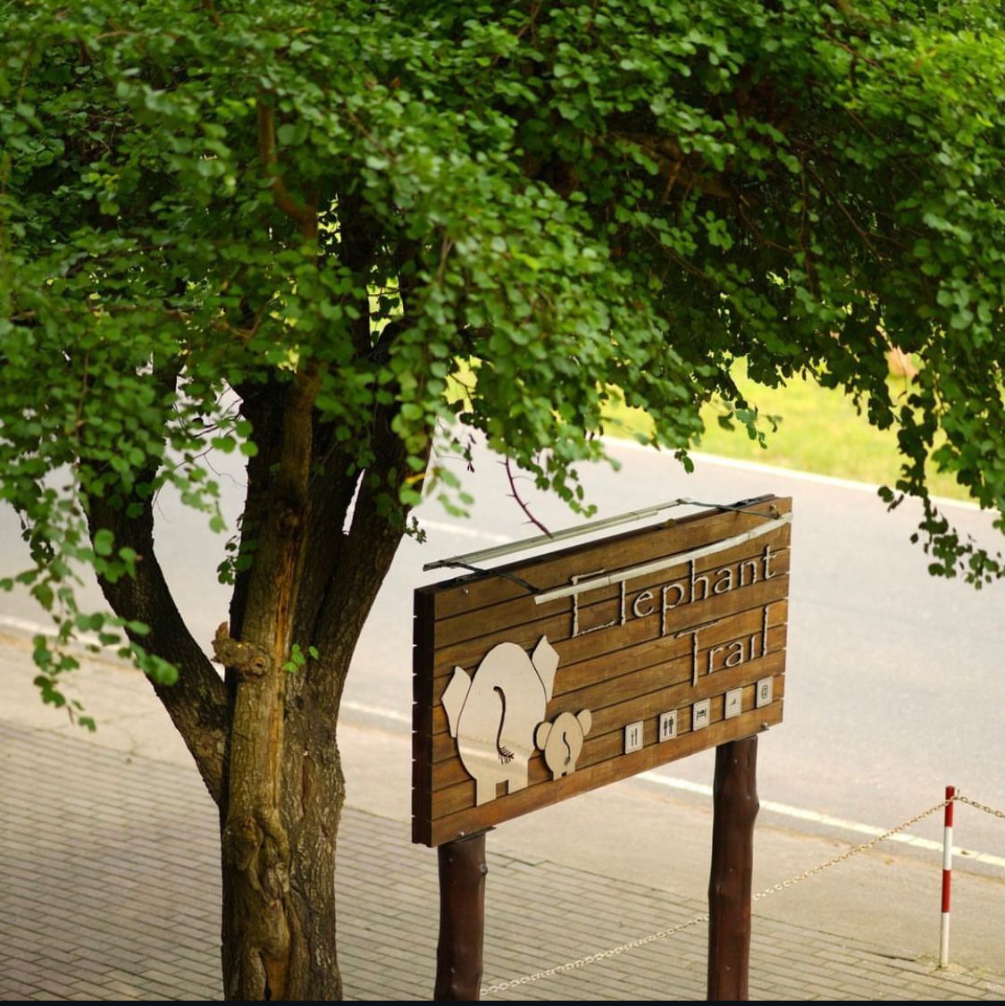 Eliphant Trail | Uva Products